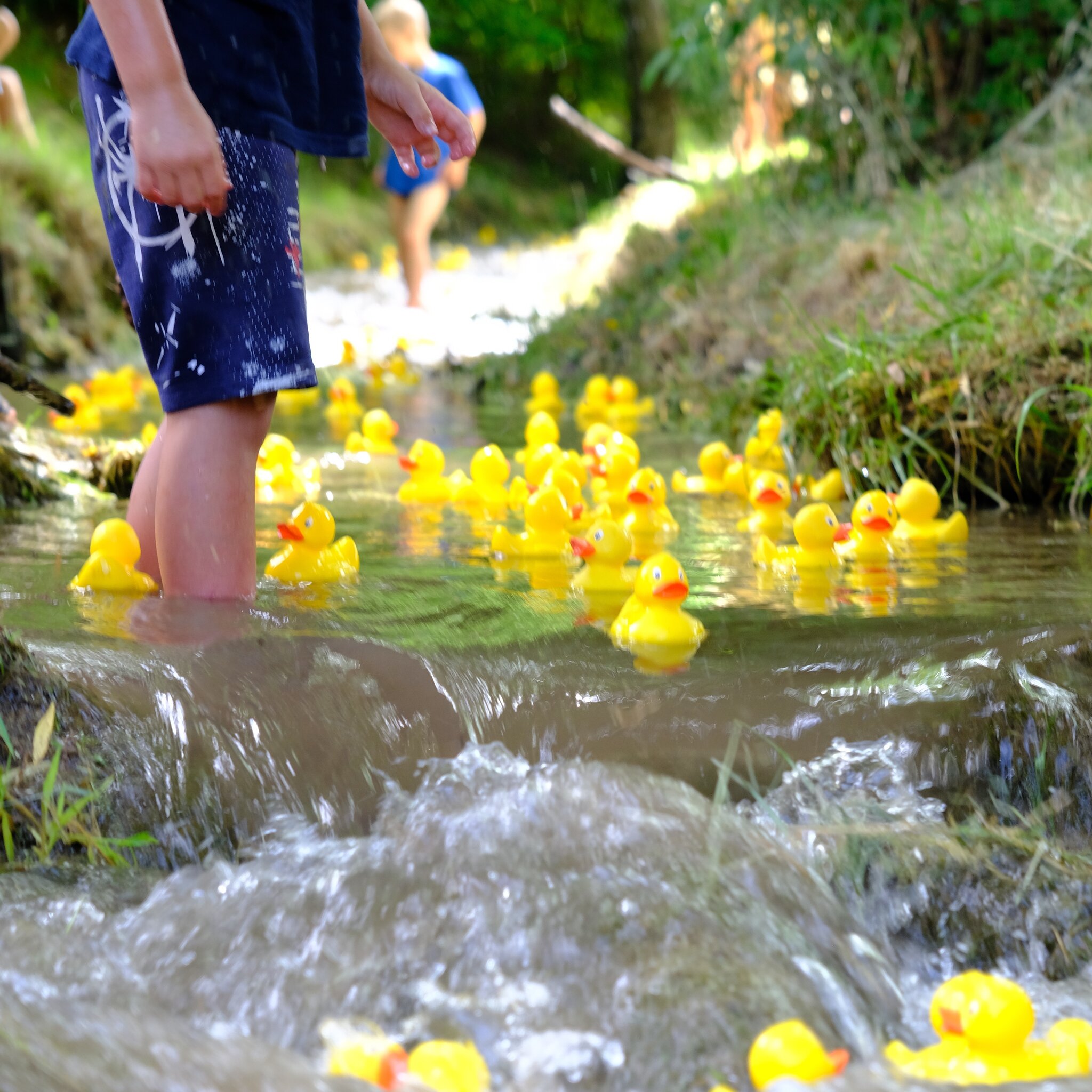 Rotary Club Graz-Umgebung Nord: 3.000 Glücksenten für den guten Zweck ...