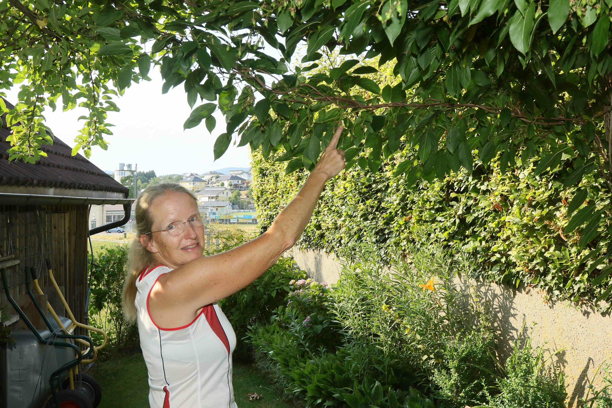 „Warum sind deine Ribisel sooo groß?“: Tage der offenen Gartentür in ...