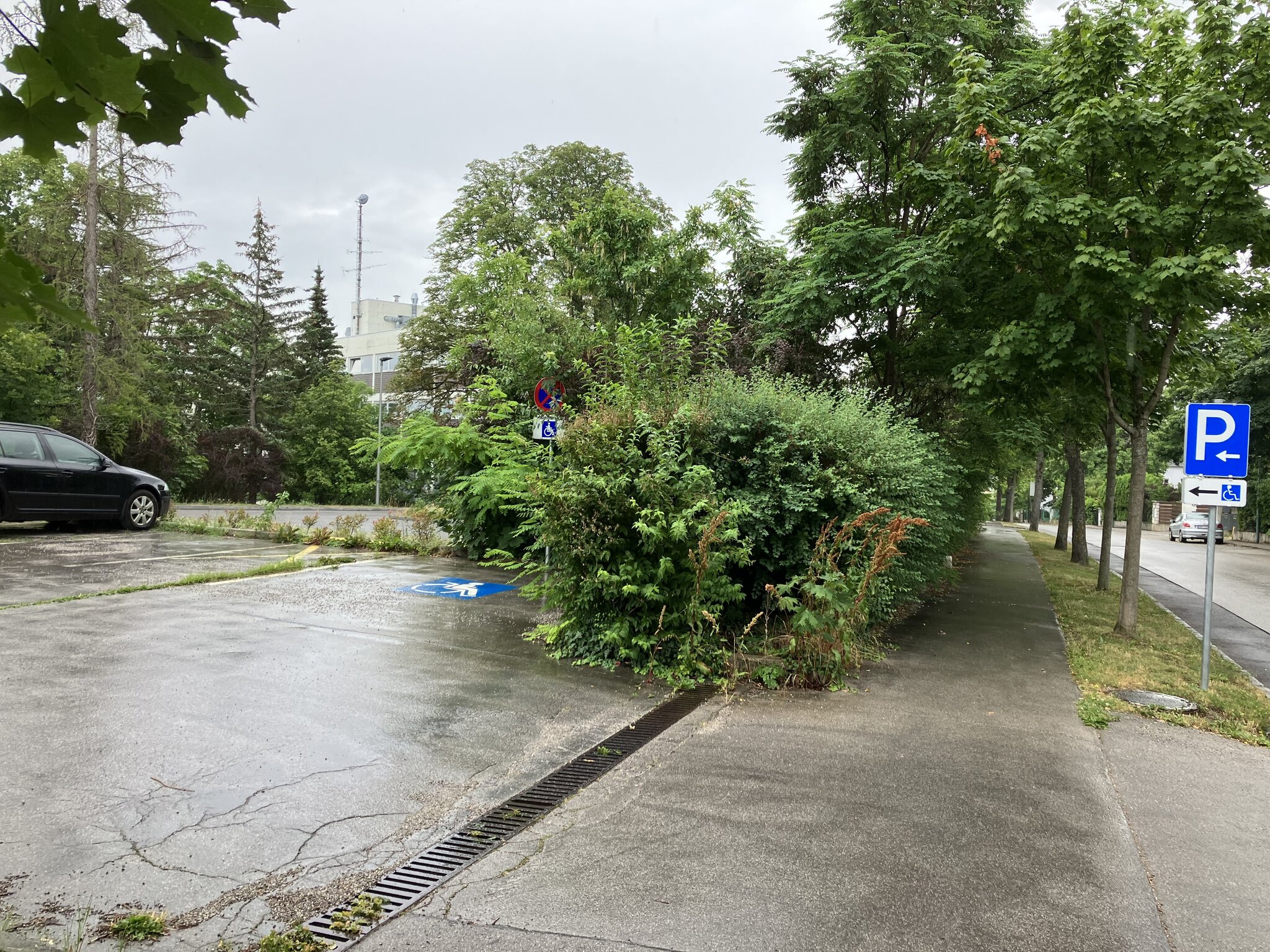 Einstimmig für "Zwischenlösung": Containerpraxis am Parkplatz ist ...