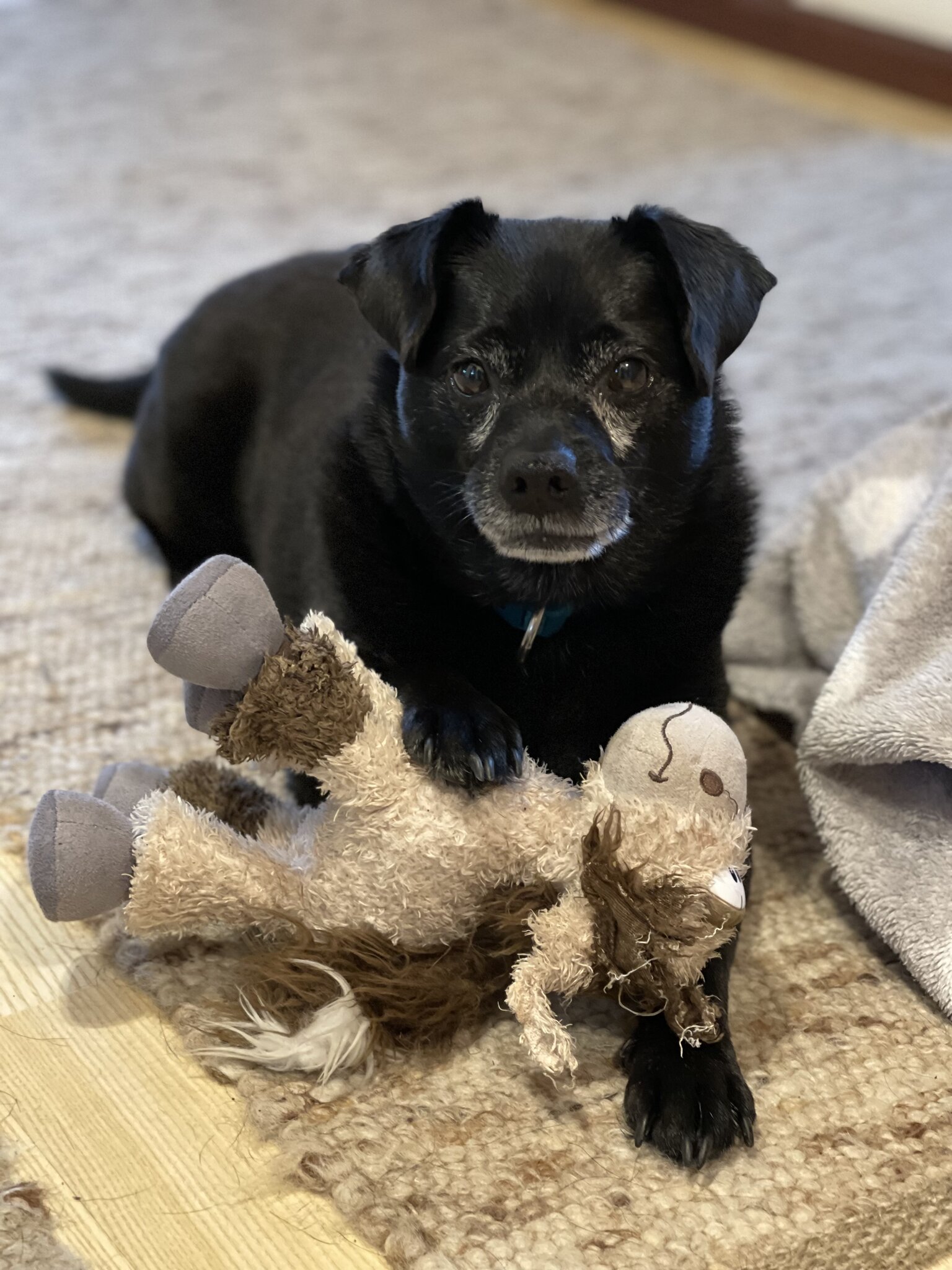 Coco aus dem Tierheim hat ein Zuhause: "Wir geben ihr ein schönes Leben ...