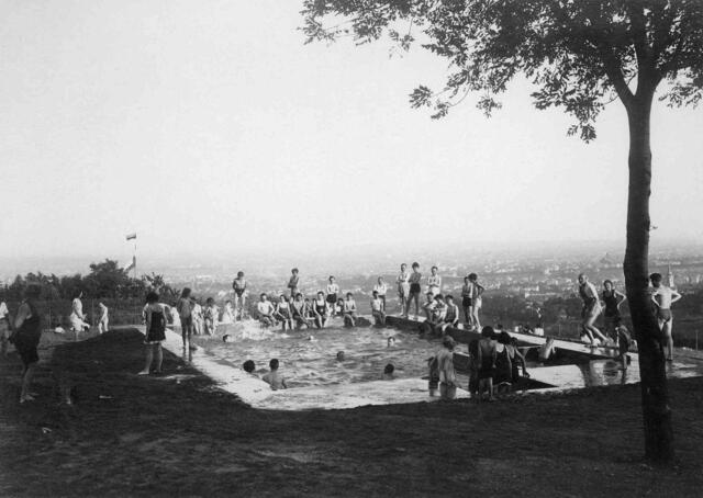 100 Jahre Krapfenwaldlbad: Das erfrischendste Denkmal in ganz Wien ...