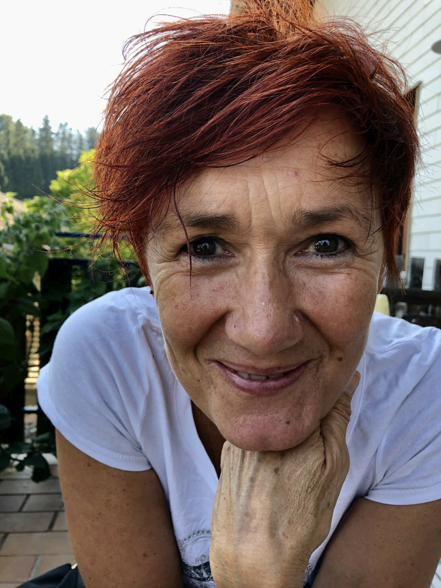 Karin Lackinger: "Die Abenteuer der Fafahüs" - eine Zaubergeschichte in ...