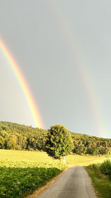 Wunderschöner Regenbogen! - Horn