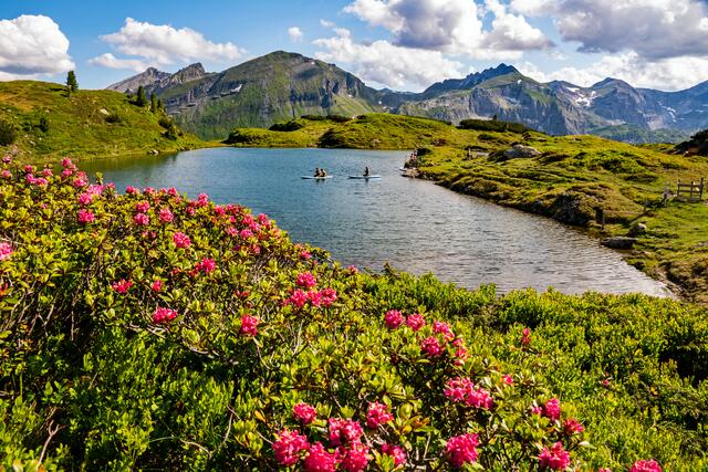 Schicke uns dein schönstes Foto!: Die besten Sommerbilder aus Österreich