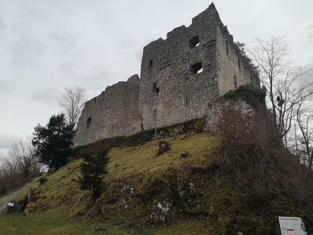 Natur in der Region: Rundwanderwege für Groß und Klein - Steyr & Steyr Land
