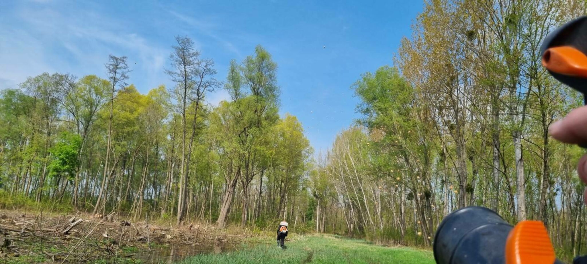 Mannersdorf: Der GEBL-Verein bekämpft Gelsen in den Leithaauen - Bruck ...
