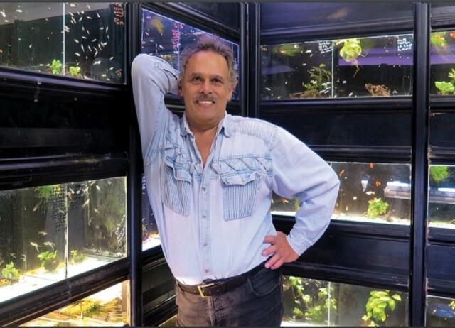 Michael Milde: Wiener ist zweifacher Weltmeister der Guppy-Hochzucht - Wien