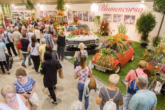 Gartenbaumesse Tulln: Das Beste aus 70 Jahren: Jubiläumsblumenschau - Tulln