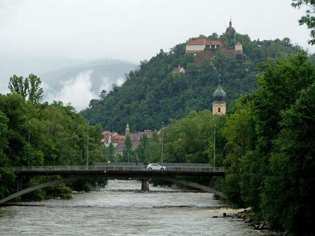 Graz Mur: Mur Graz Treibholz - Graz