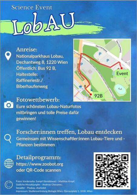 LobAU – Wiens schönste Wildnis entdecken/erkennen/verstehen - Wien
