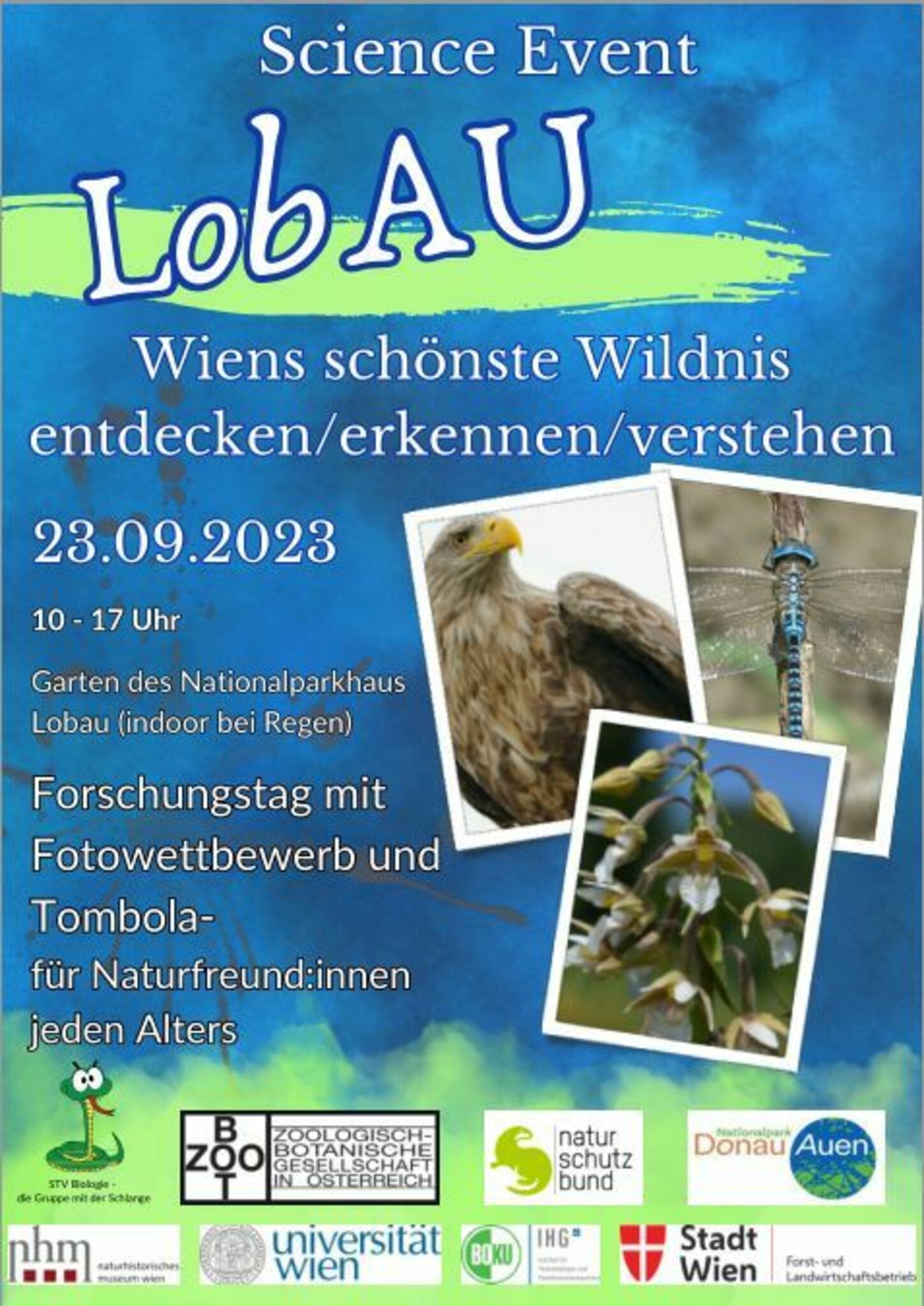 LobAU – Wiens schönste Wildnis entdecken/erkennen/verstehen - Wien