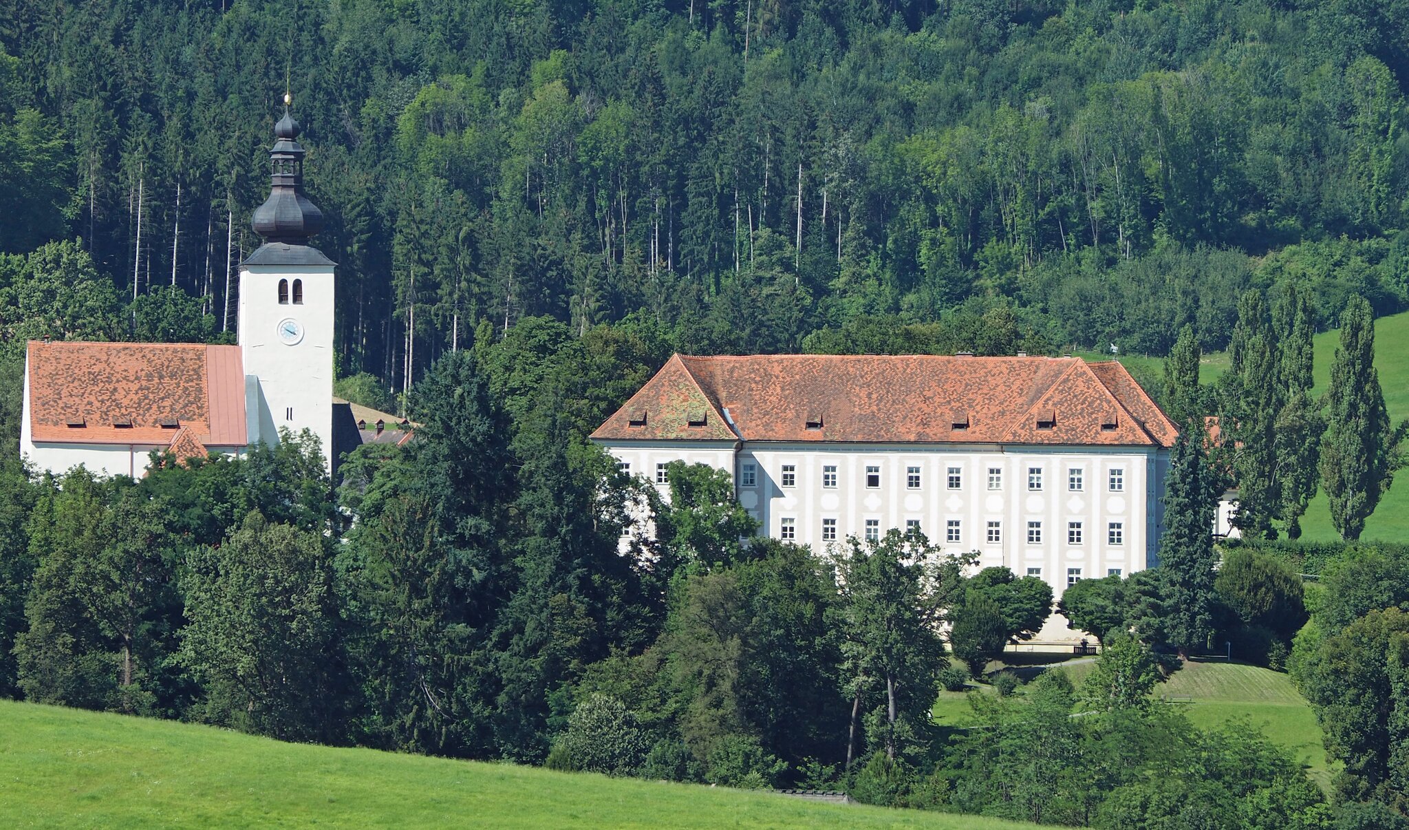 Schloss Piber Steiermark: Spanische Hofreitschule Lipizzanergestüt ...