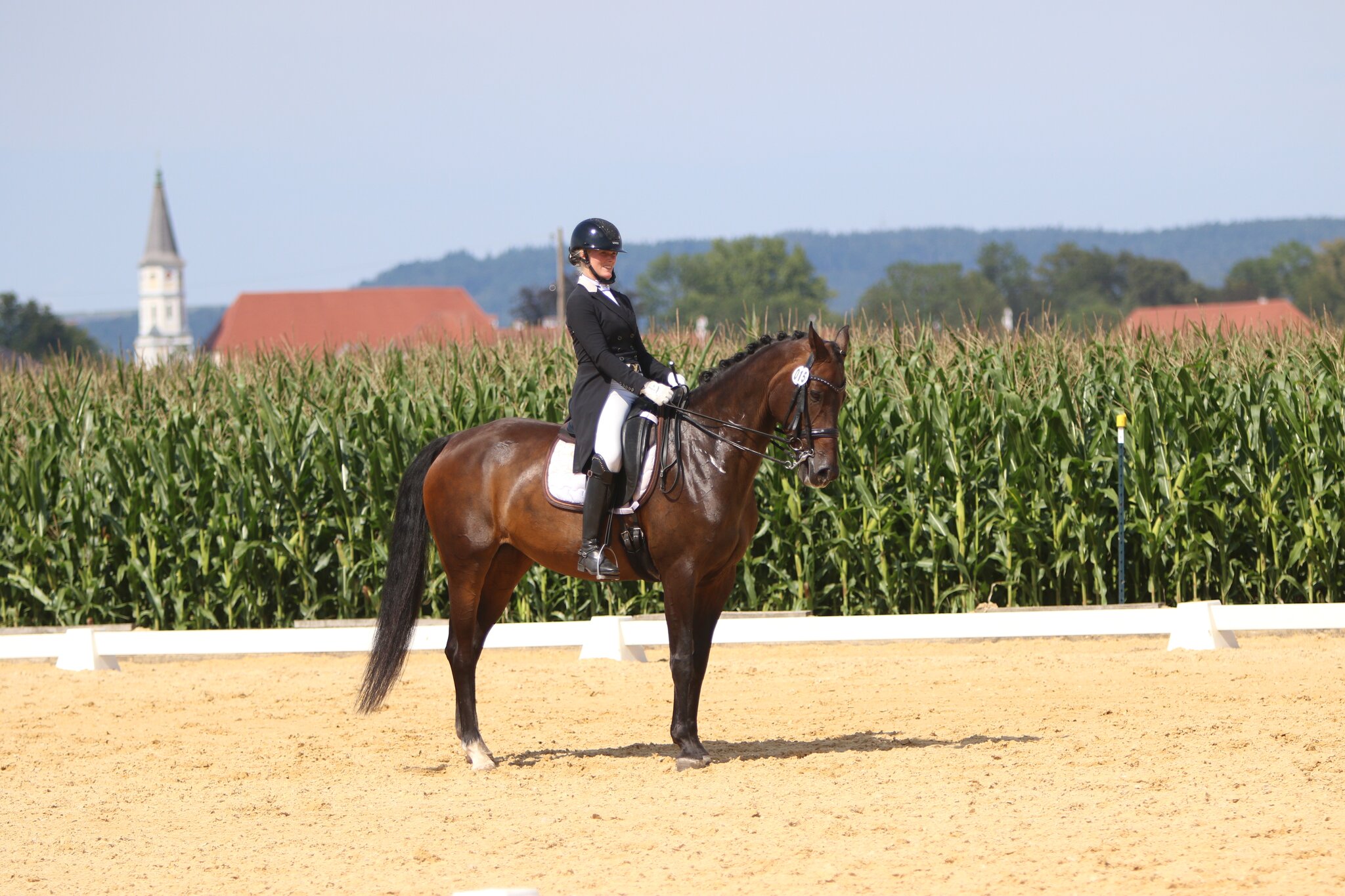 Ranshofen-Classics Reitturnier: Heimische Erfolge am letzten Wochenende ...