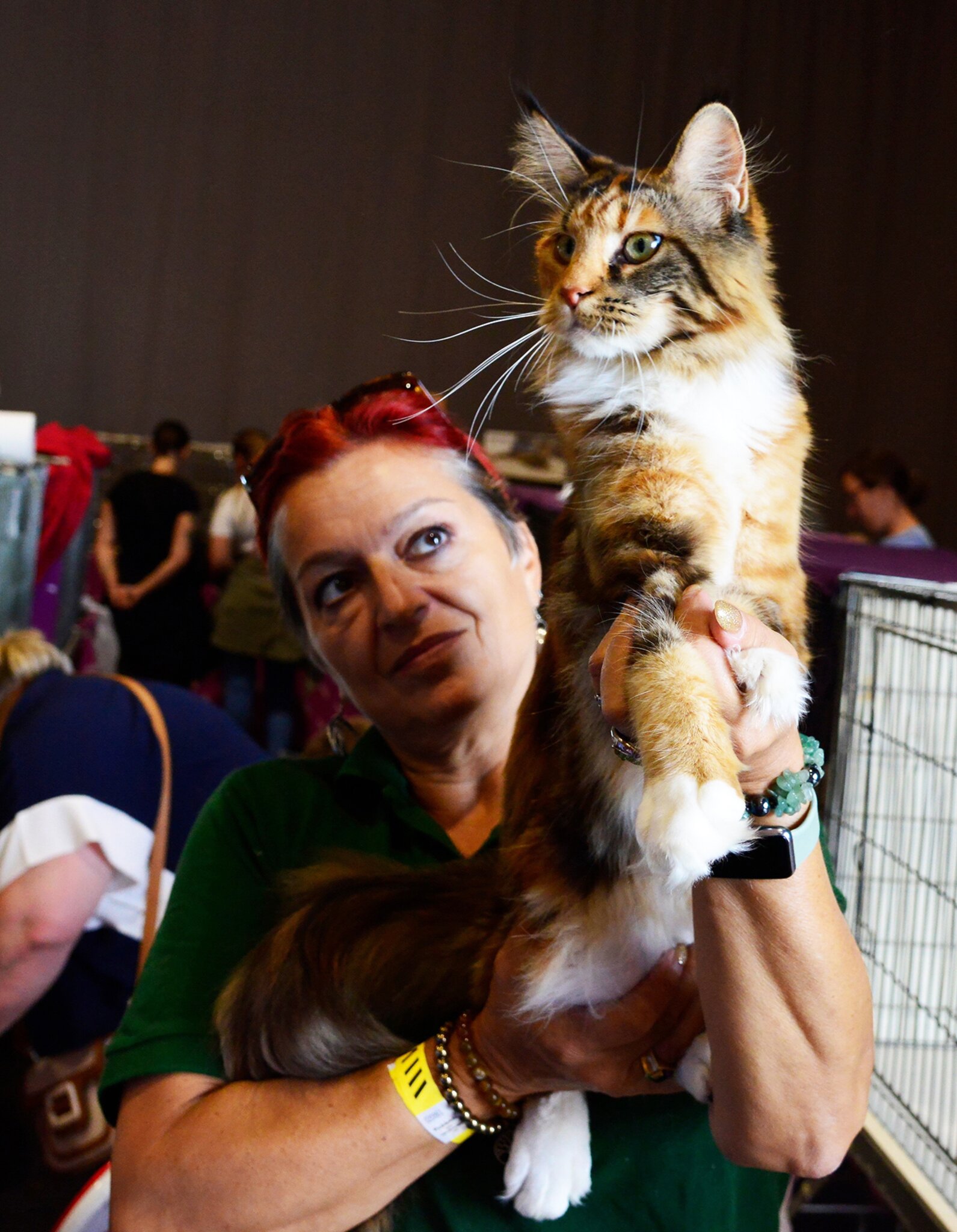 Tierisch große Begeisterung: HAUSTIER AKTUELL & Exotica 2023 - Wiener ...