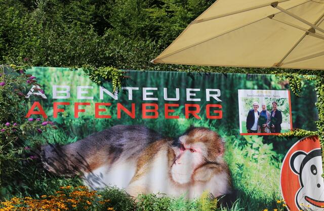 ABENTEUER AFFENBERG: Affenberg - Burg Landskron - Kärnten - Graz