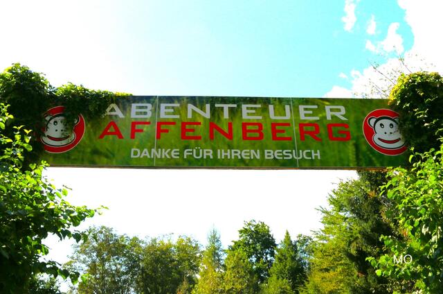 ABENTEUER AFFENBERG: Affenberg - Burg Landskron - Kärnten - Graz