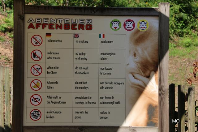 ABENTEUER AFFENBERG: Affenberg - Burg Landskron - Kärnten - Graz