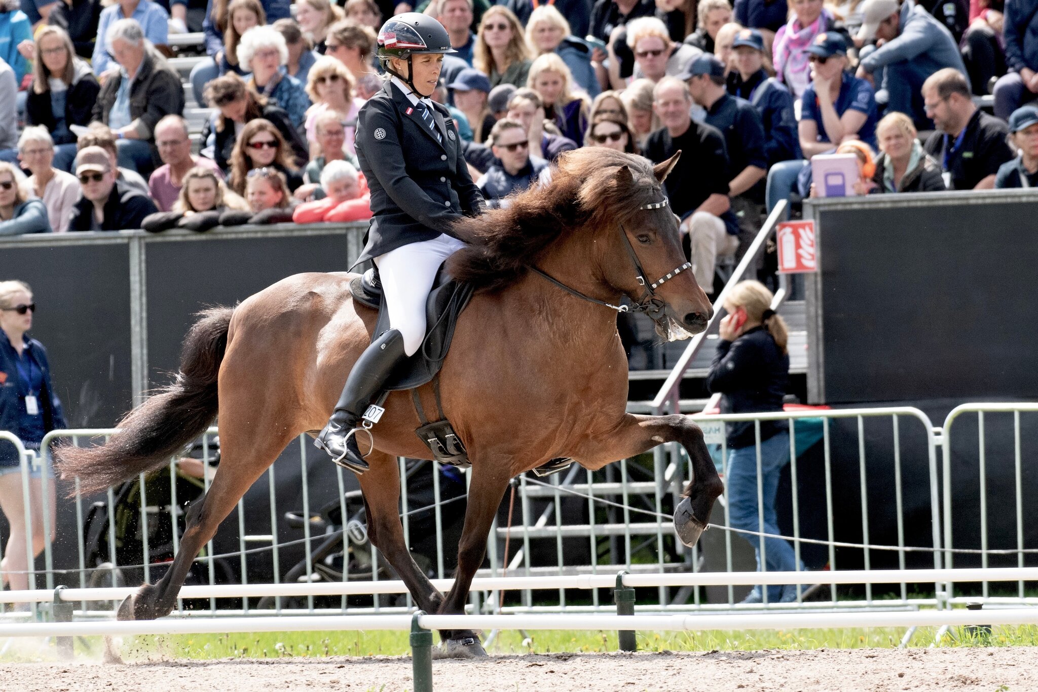 Islandpferde-WM in den Niederlanden: Carina Piber bei Weltmeisterschaft ...