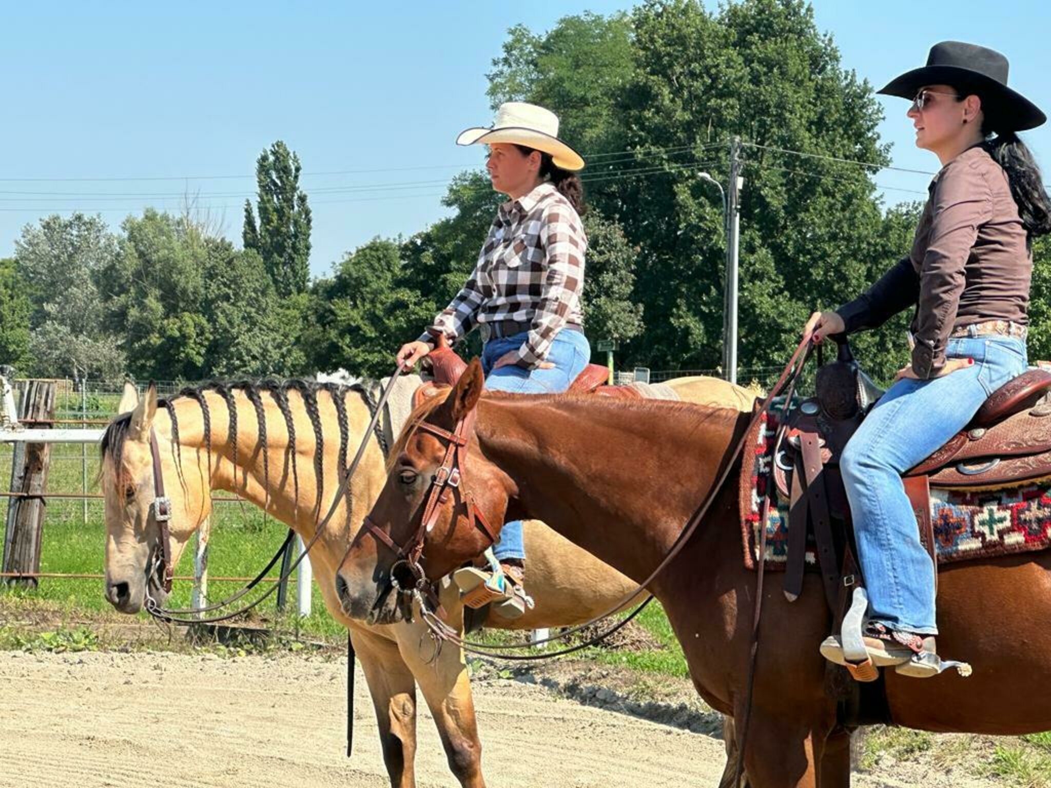 PFERDEFEST IN ZELLERNDORF: Neuer Vereinsvorstand gab Top-Pferdefest ...