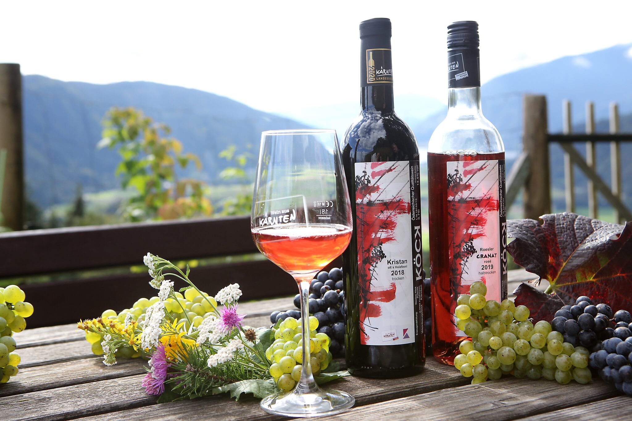 Wanderung: Wein-Wandertag auf die Pollenitz - Feldkirchen