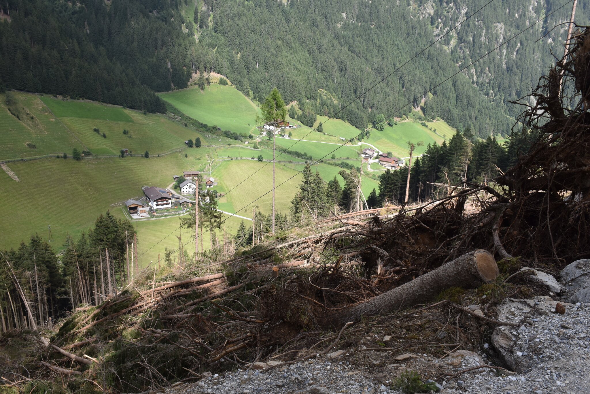 Aufräumarbeiten: Schadensbeseitigung nach Juli-Sturm läuft noch immer ...