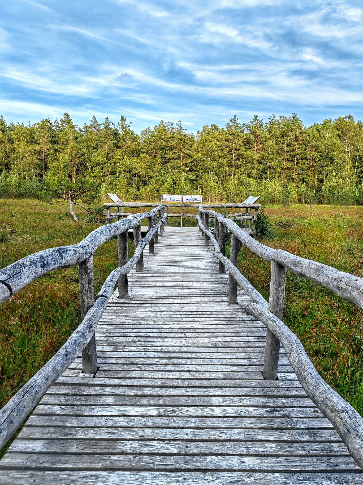 Lieblingsplatz: Heidenreichsteiner Hochmoor - Gmünd