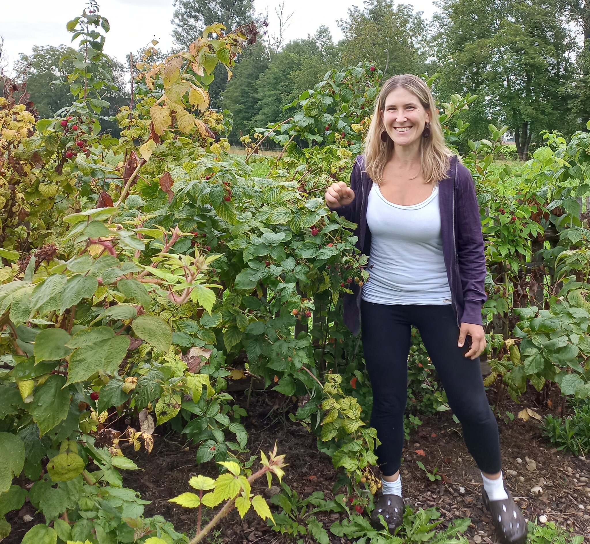 Obst und Gemüse haltbar machen: Leckeres aus dem Garten im Glas - Wels ...