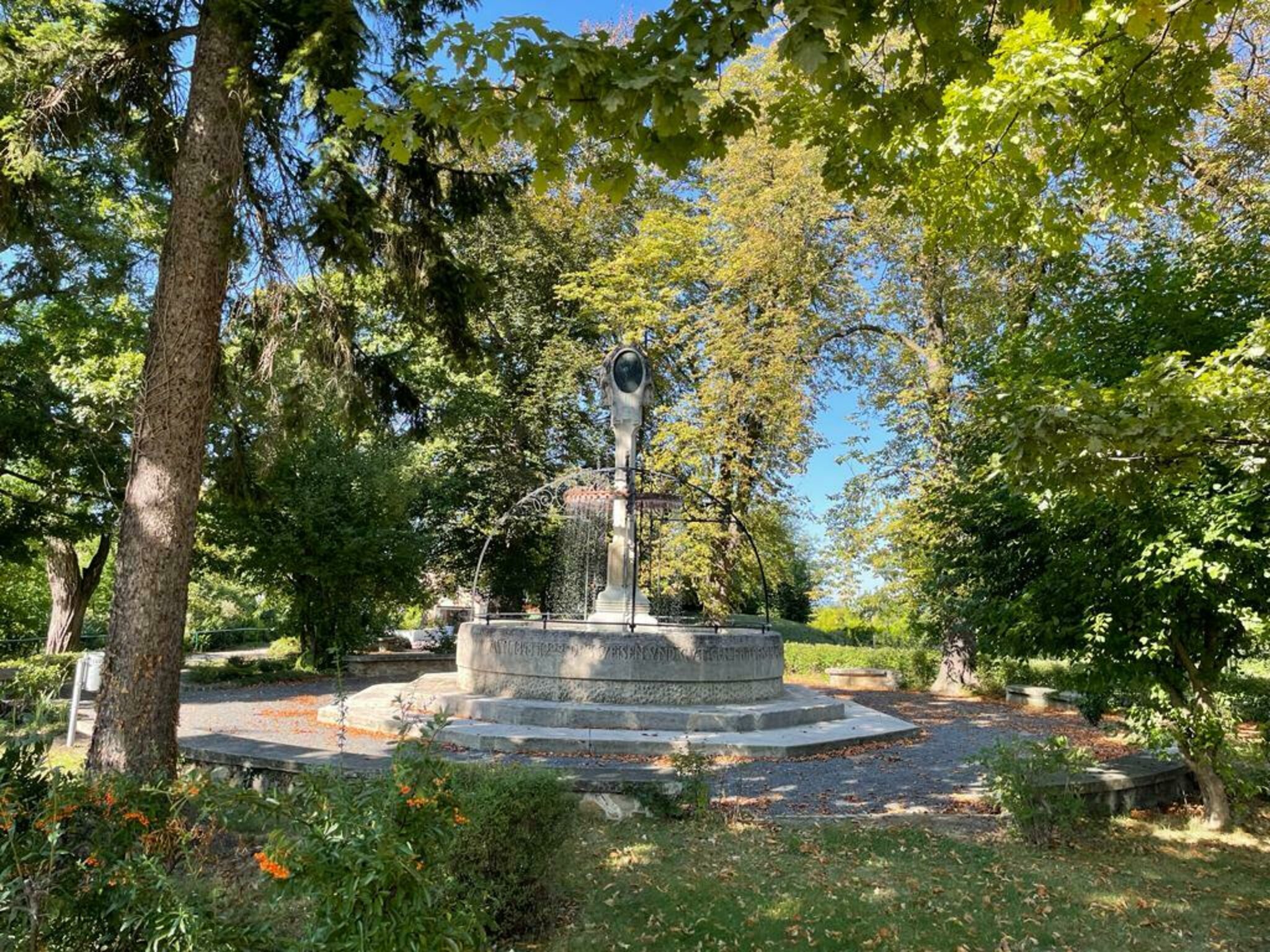 Leserbrief: Schubertpark und Stadtgraben: Pflanzen gestohlen! - Horn