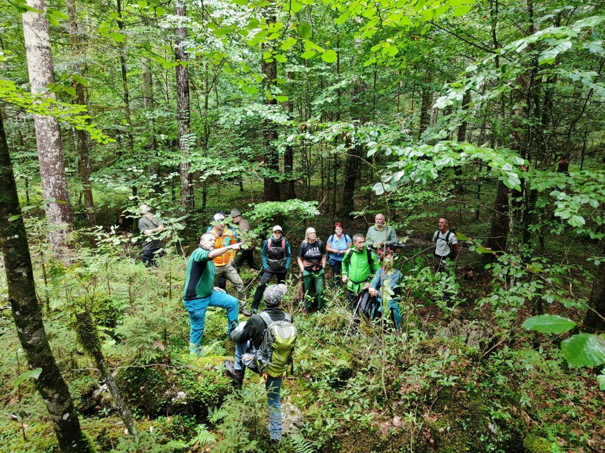 Naturerlebnis: Zu Besuch im Wald der Zukunft bei Hallstatt - Salzkammergut