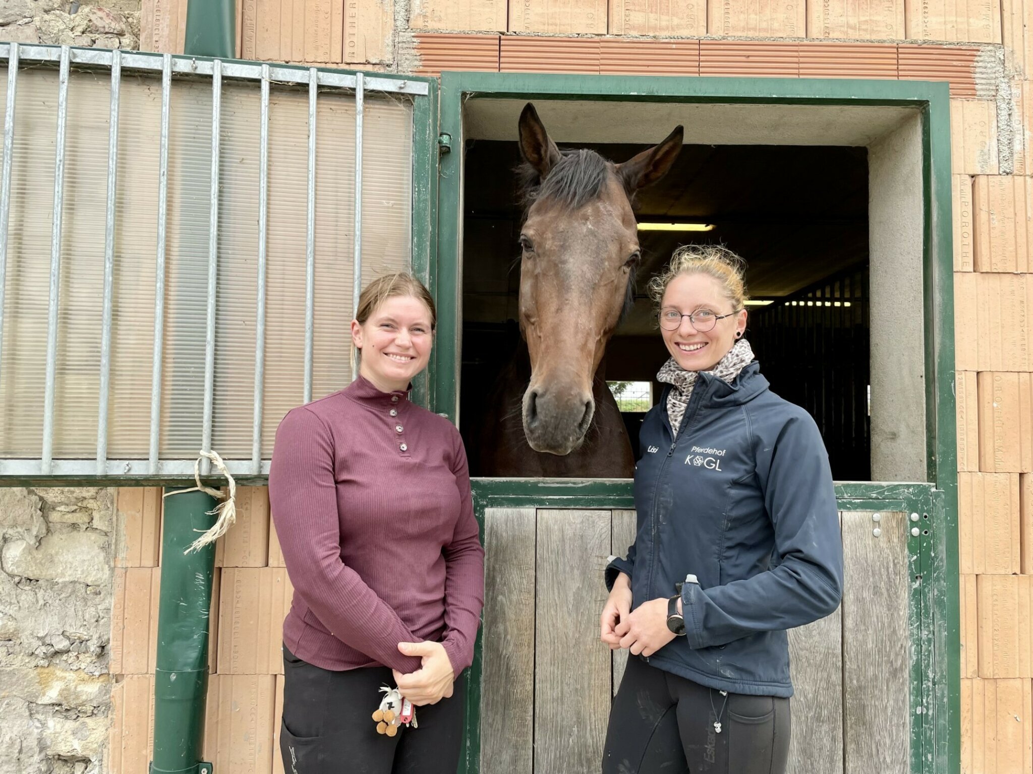 Reitstall: Zu Besuch beim Pferdehof Kögl in Bruck an der Leitha - Bruck ...