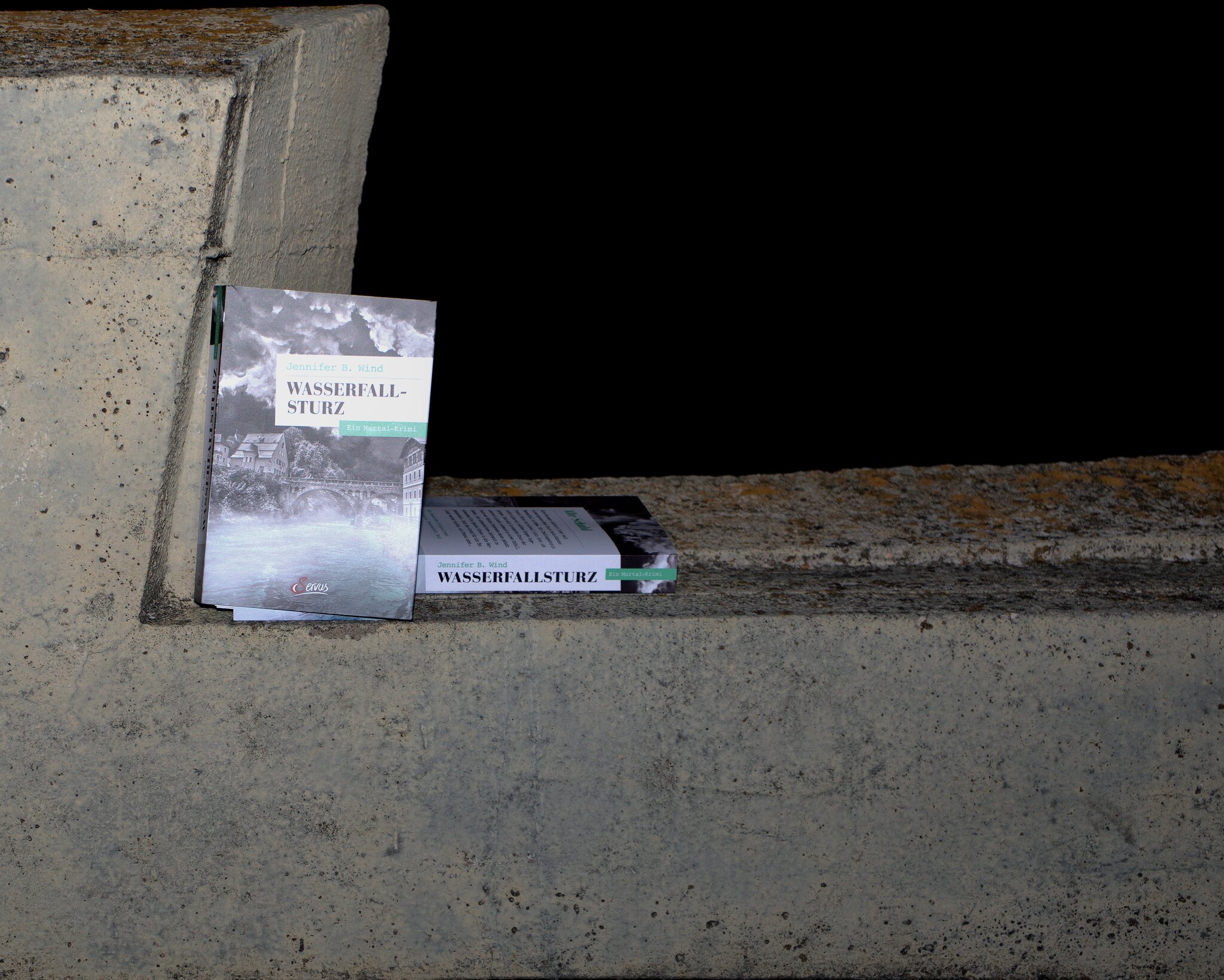 Neuer Krimi von Jennifer B. Wind: Schuld, Neid, späte Rache und ...