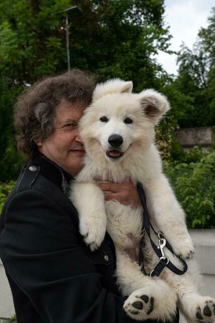 Blindenführhund in Ausbildung: "Amando", ein sanfter Engel für Wolfgang ...
