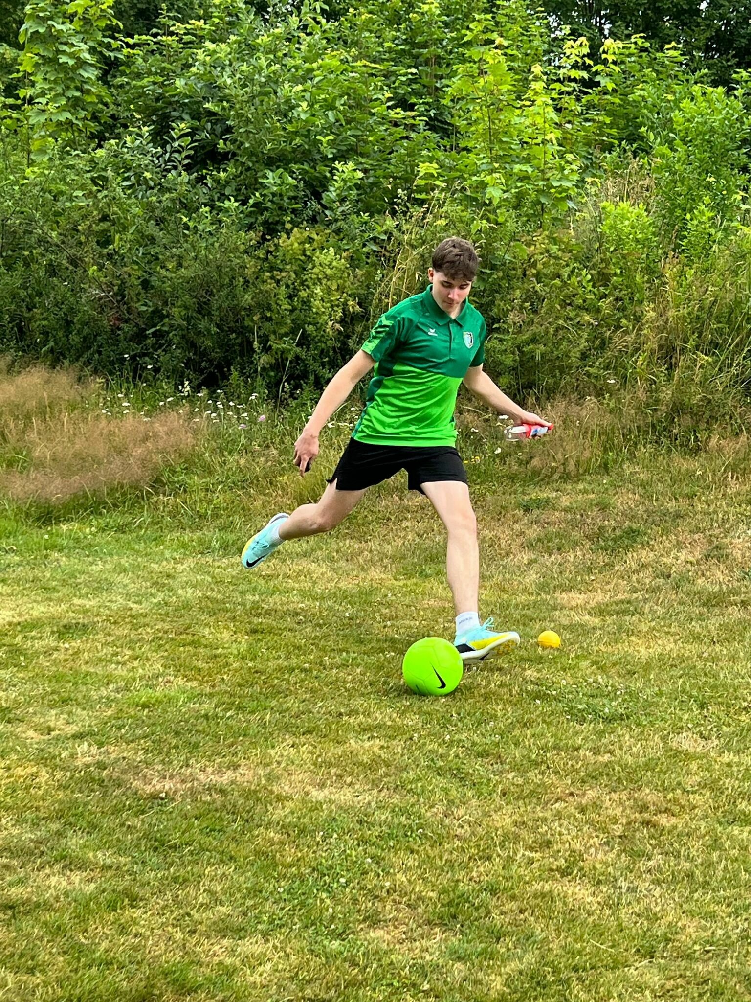 Die Leidenschaft für den Rasen: Leonit und sein unerschütterliches ...