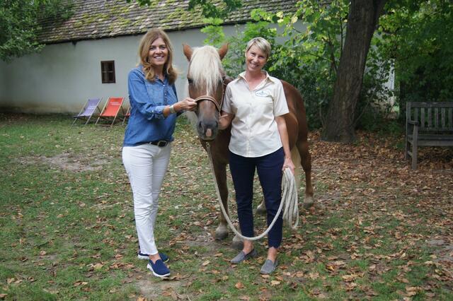 Niedersulz: Pferdekraft im Weinviertler Museumsdorf - Gänserndorf