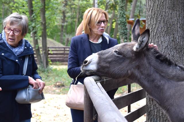 Tierisch entspannt: Assisi-Hof Stockerau feierlich eröffnet - Korneuburg