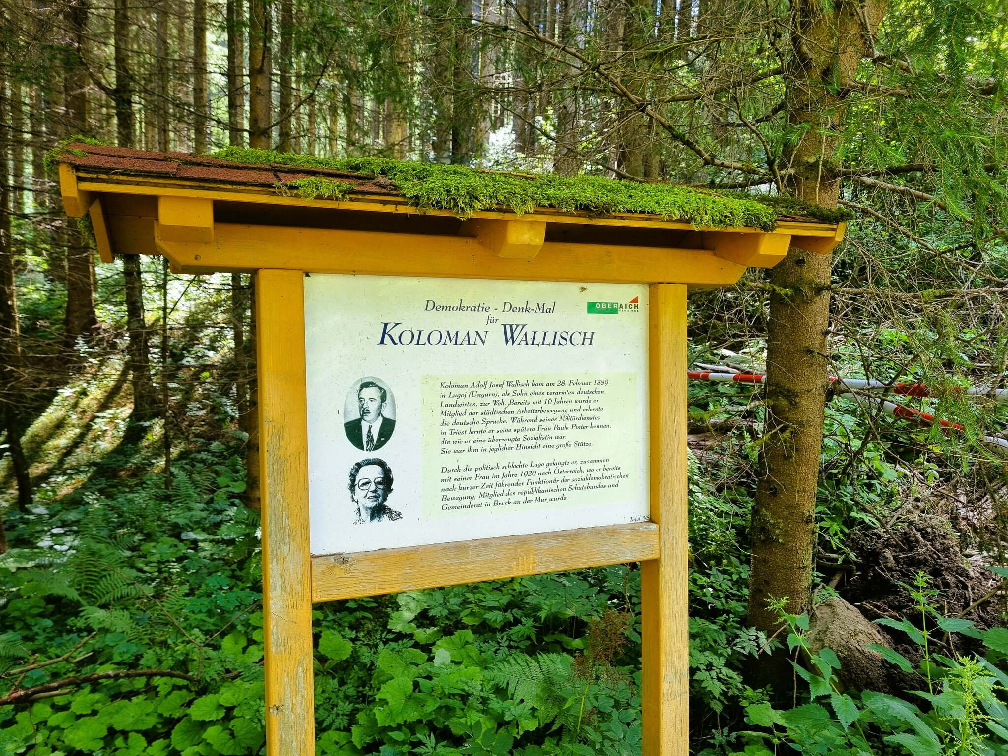 Eine Gedenkwanderung für Koloman Wallisch - Bruck an der Mur