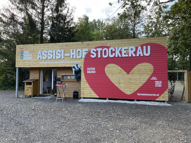 Tierisch entspannt: Assisi-Hof Stockerau feierlich eröffnet - Korneuburg