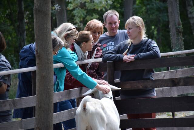 Tierisch entspannt: Assisi-Hof Stockerau feierlich eröffnet - Korneuburg