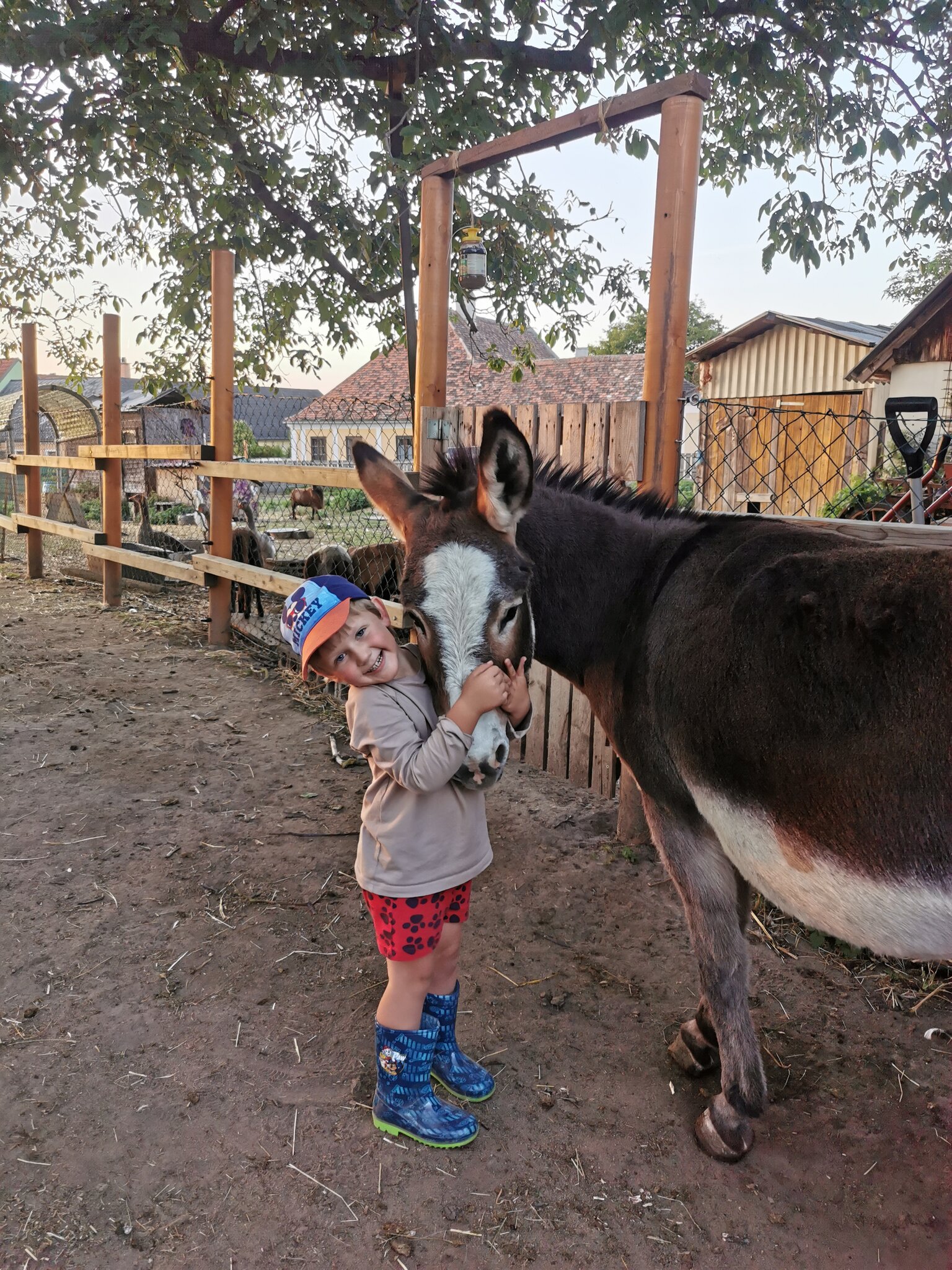 Das magische Band zwischen Mensch und Tier: Kinder brauchen Tiere ...