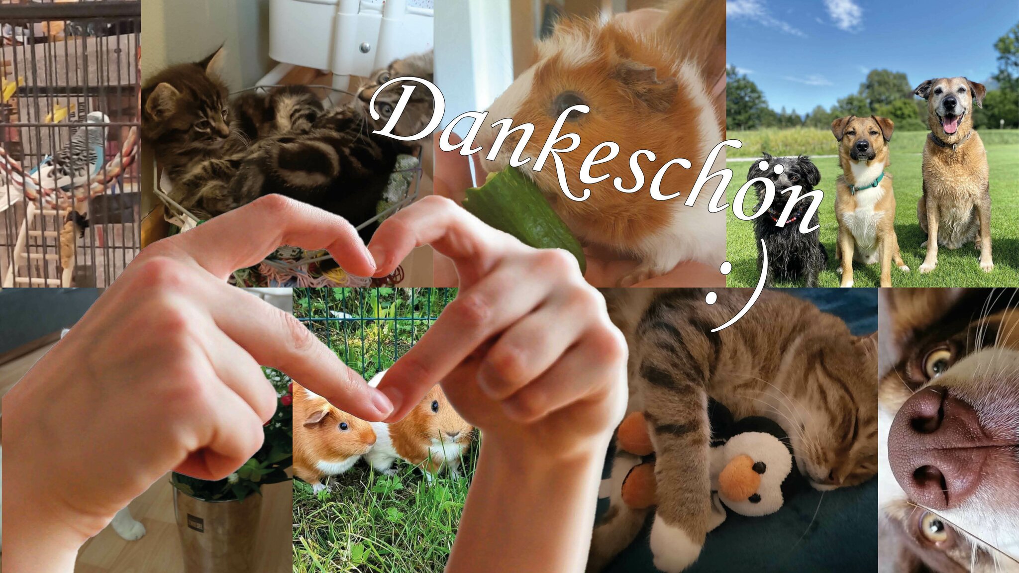 Fotowettbewerb: Ein Großes "DANKE SCHÖN" an unsere Tierliebhaber ...