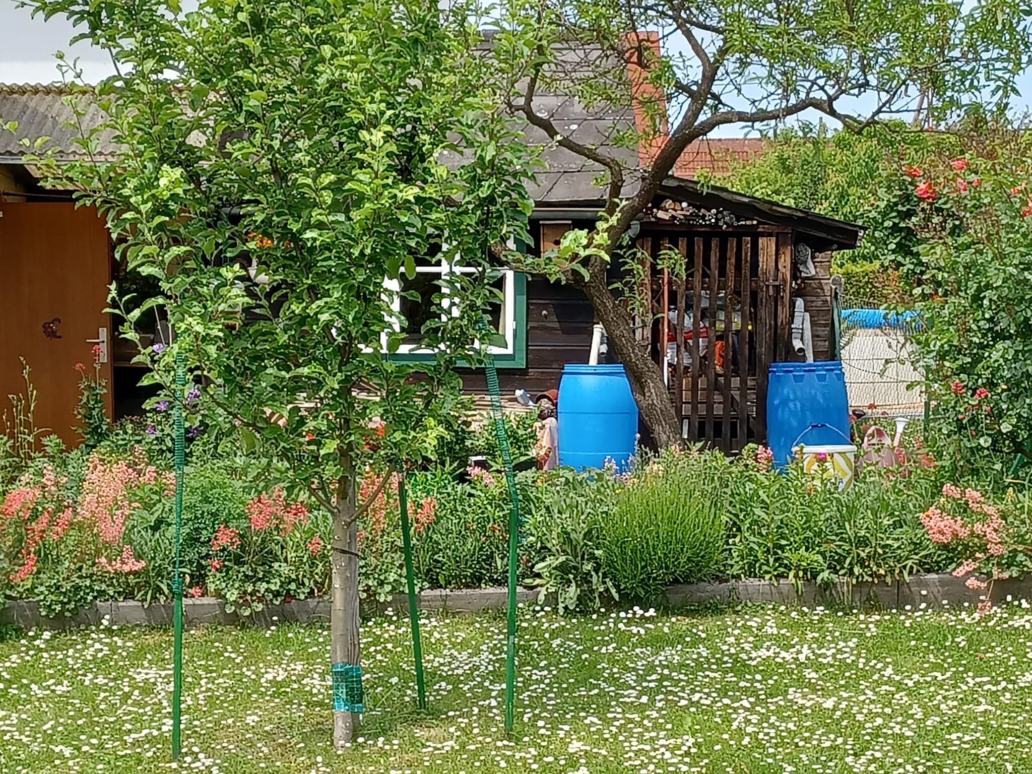 Illegales Wohnen Im Kleingarten Melden