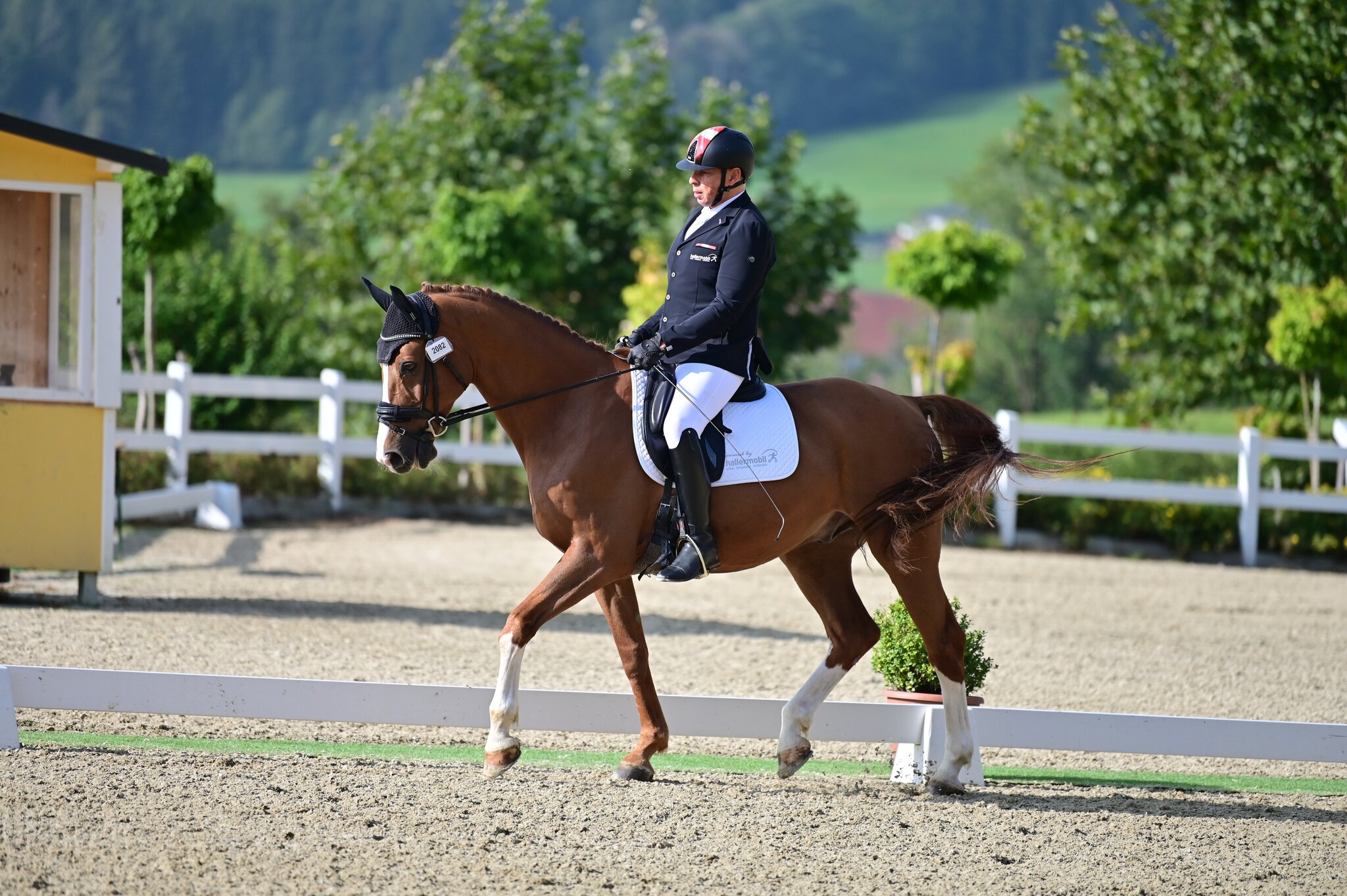 Thomas Haller: St. Marienkirchner Reiter feiert erfolgreiches Comeback ...