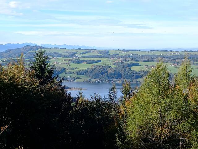 Salzburg ist so schön!: Wanderung auf den Buchberg und zu den Egelseen ...