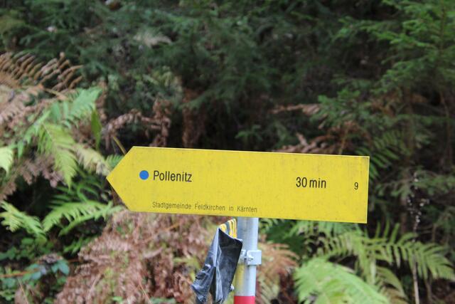 Wandererlebnis für Jung und Alt: Familienwandertag auf die Pollenitzen ...