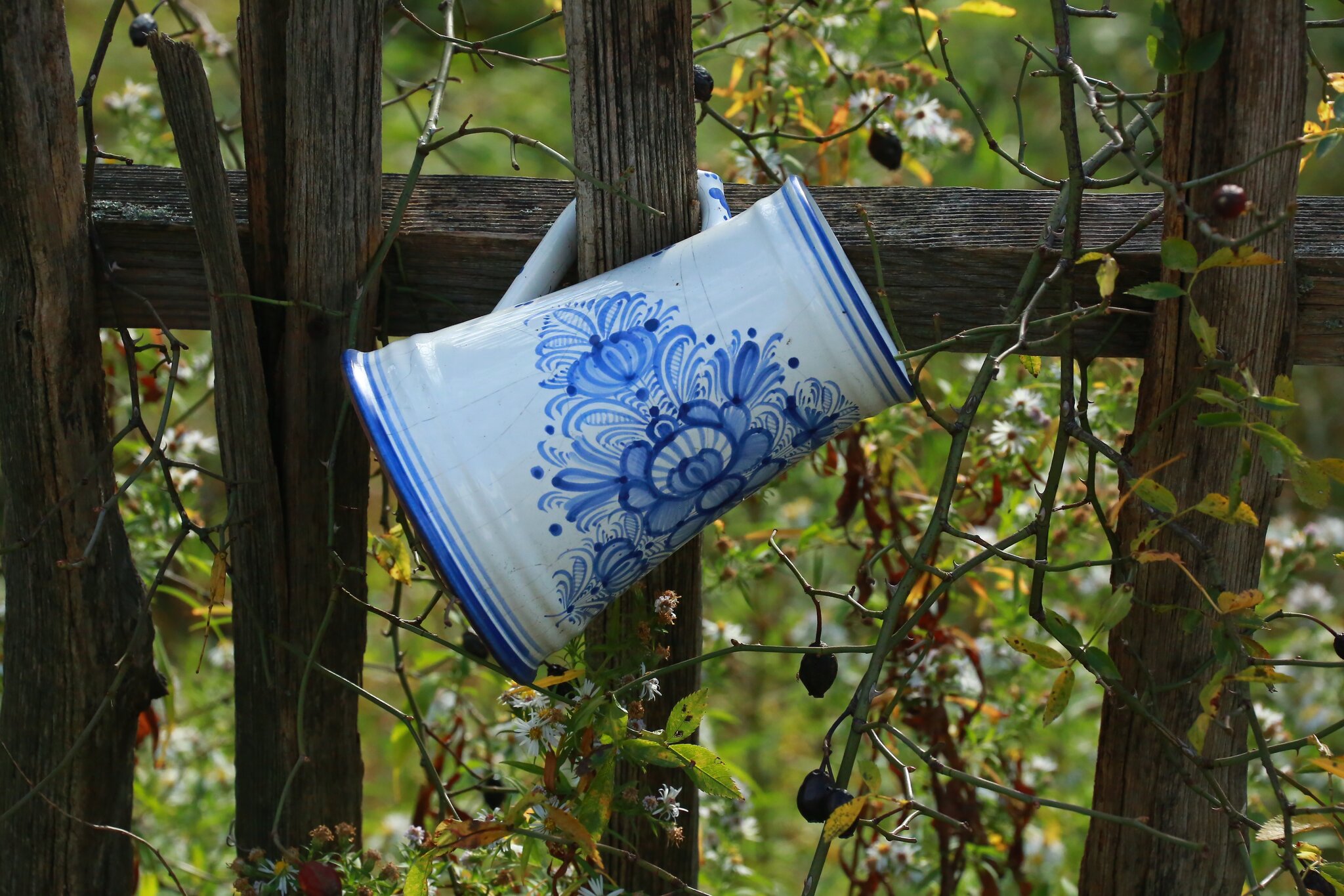 Modra Majolika Keramik: Habaner Majolika in Modra! - Favoriten