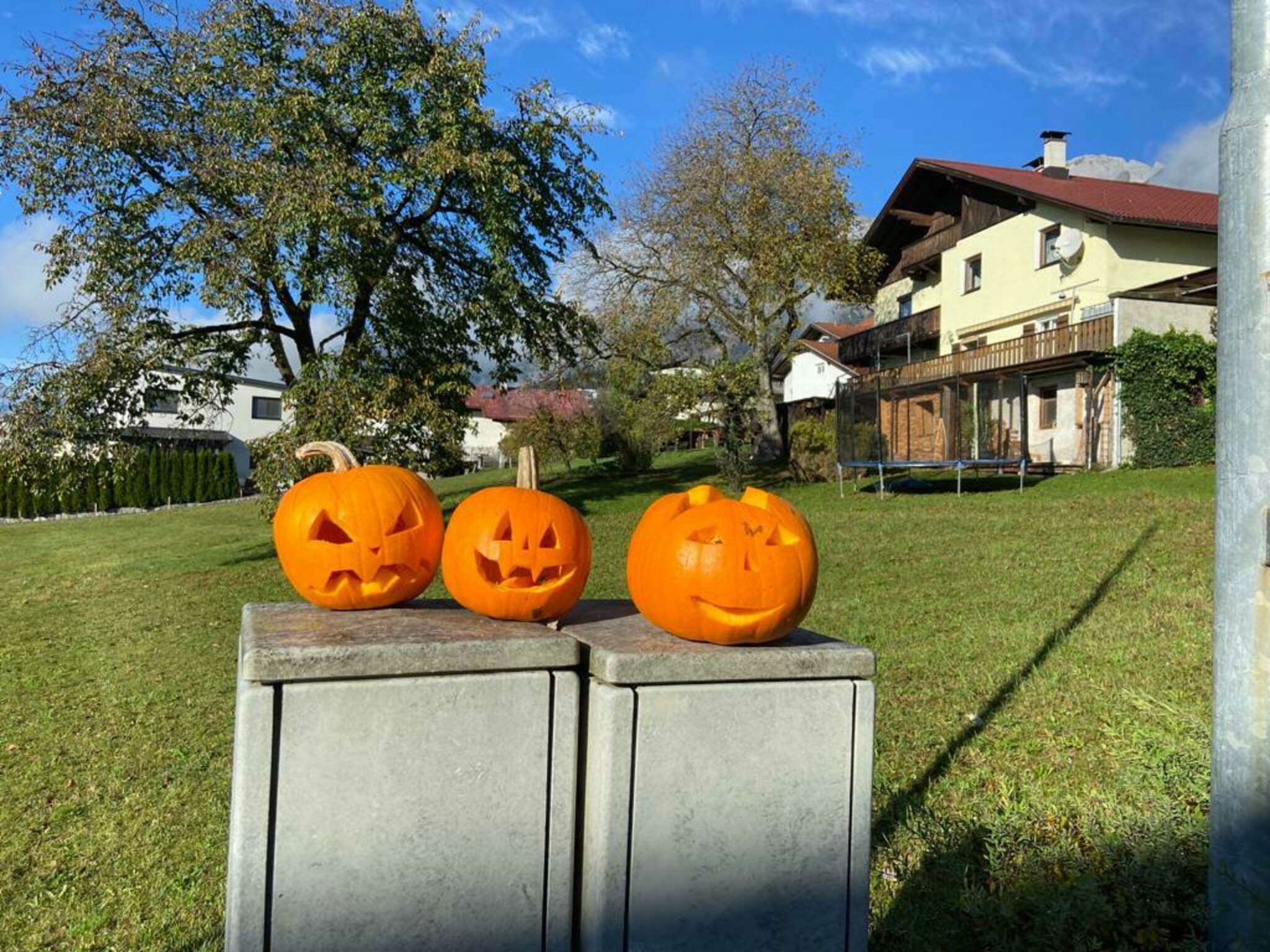Kürbisschnitzen: Kinder in Rum zaubern gruselige Meisterwerke aus ...