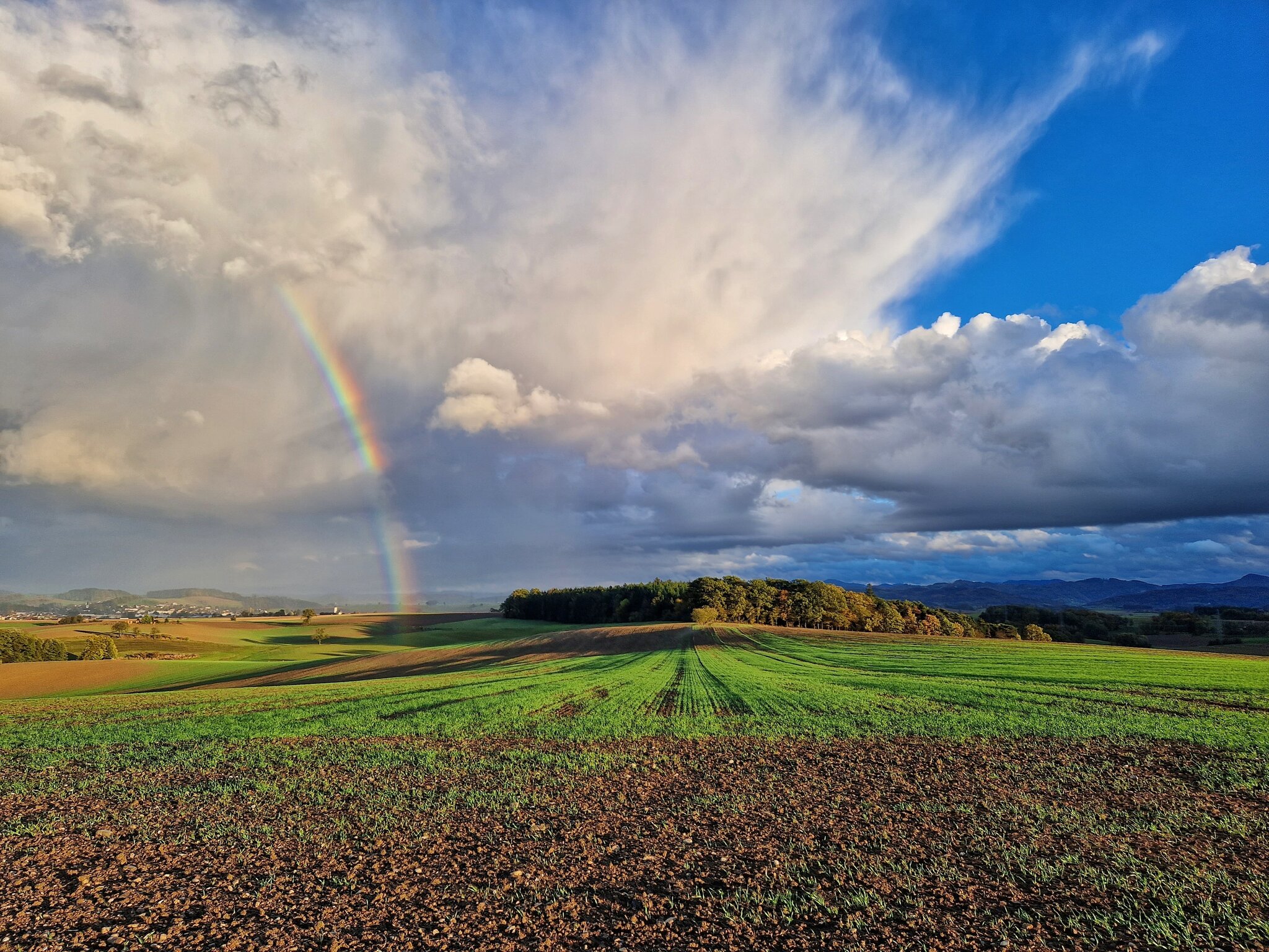 Wetter NÖ: Regnerisch starten wir in Niederösterreich in's Wochenende ...