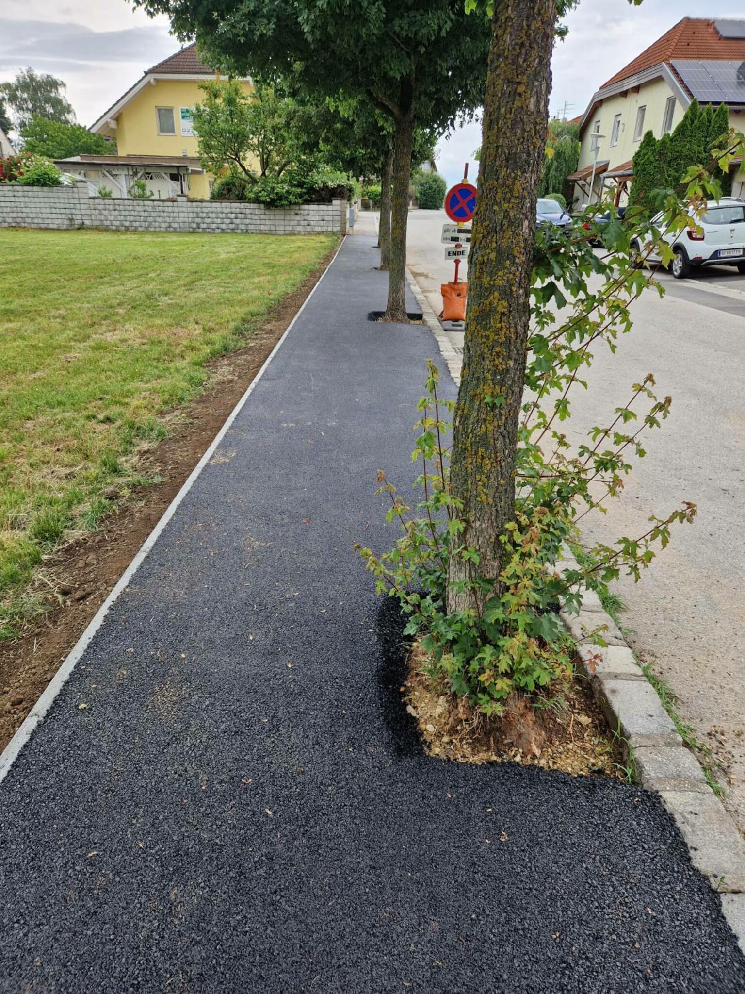 Neuer Gehweg in Deutsch-Wagram: Asphalt statt Freiraum für die Bäume ...