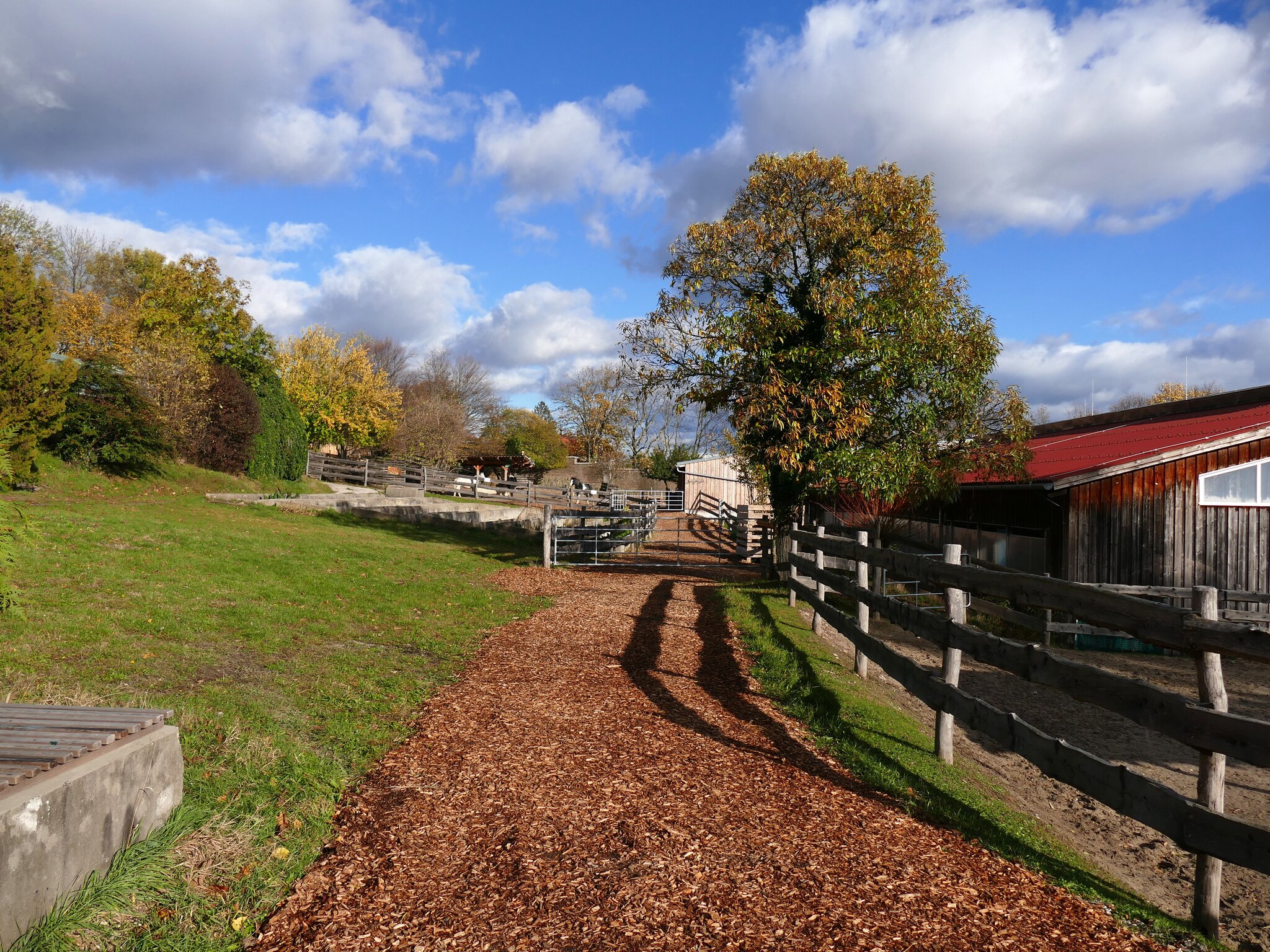 ERÖFFNUNG DES SCHUTZENGELSTALLS AM LICHTBLICKHOF - Penzing