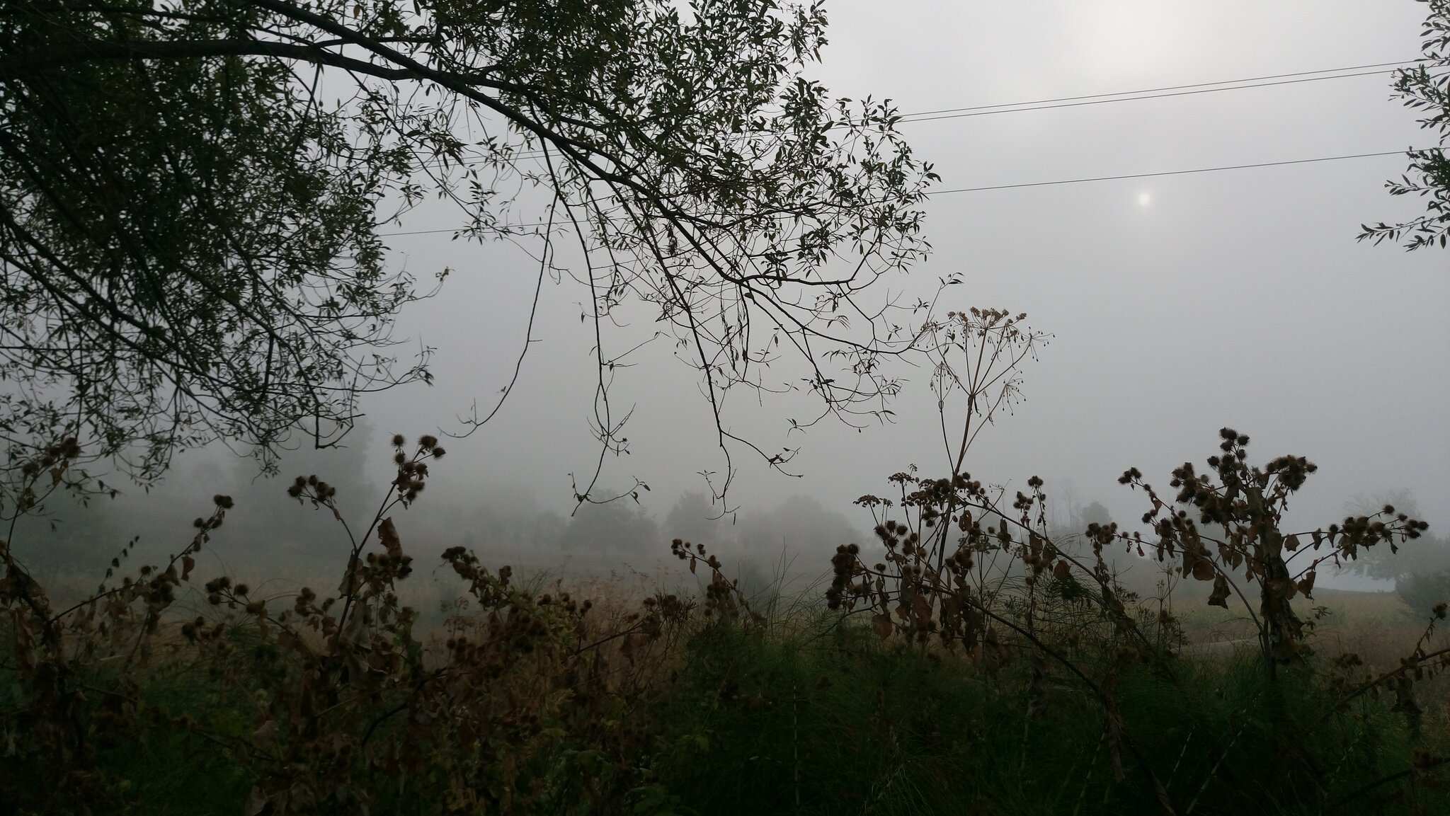 Regnerisch und bewölkt: So wird das Wetter am Freitag im Burgenland ...